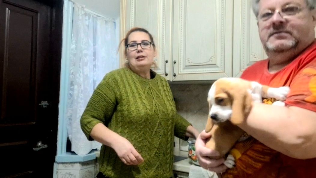 1066 Беспокойная Жизнь в Станице на юге. Опять МОШЕННИКИ.