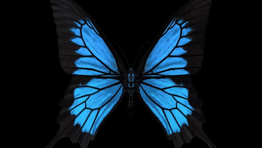 Свадебная поляна и Танцы от гостей и невесты: Часть 8