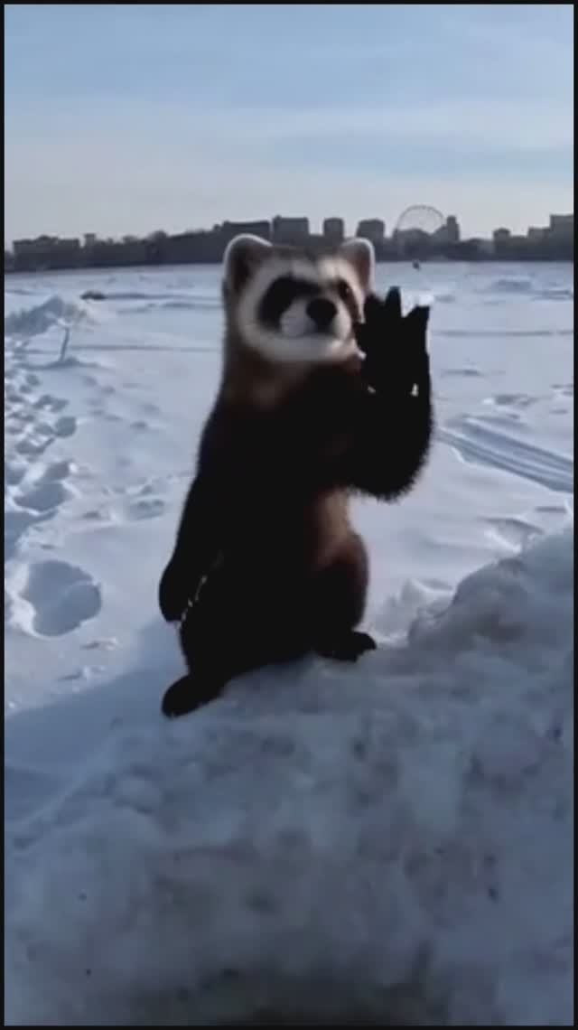 Зимняя рыбалка 19.02.2026 Проверка перемёта