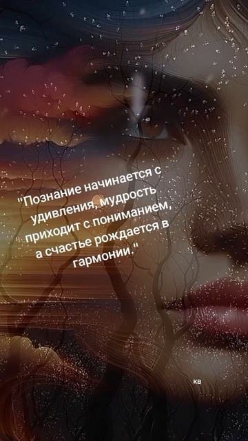 #мысли #цитаты #katyboro #афоризмы #топ #рек #рекомендации #врекомендации #умныемысли