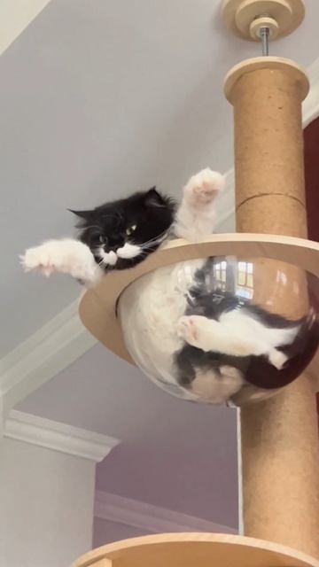 Щас взлечу!