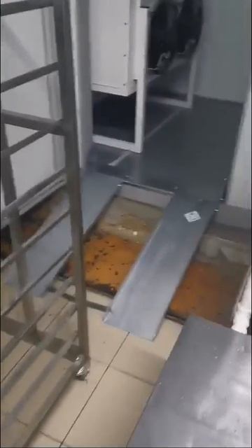 Пандус камеры шоковой заморозки Kriocold