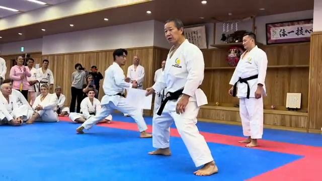 Семина шихана Масао Кагава 2023 год Токио Япония Часть 1