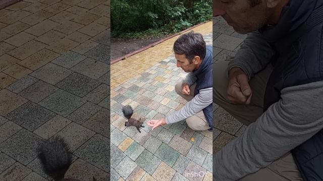 Кормим белок. Ставрополь. Сентябрь 2025