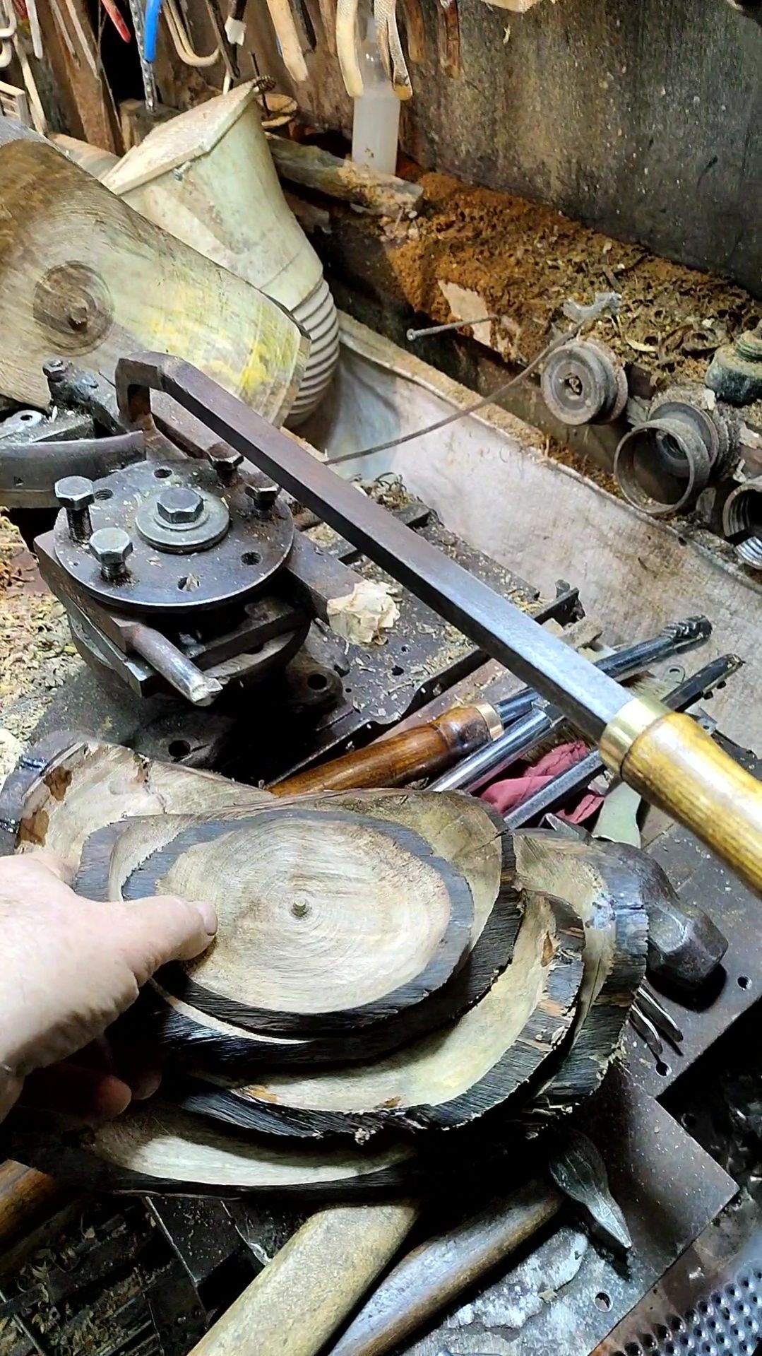 Чаши из хурмы, нарезал заготовки тарелок резцом Bowlsaver.