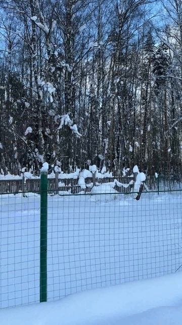 АКЦИЯ! 30% скидка! Продается участок 8 соток в СНТ Искож-6, Александровский р-н, Владимирская обл.