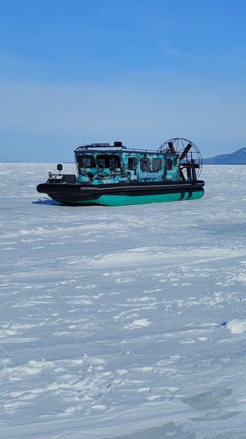 Черепаха. Байкал