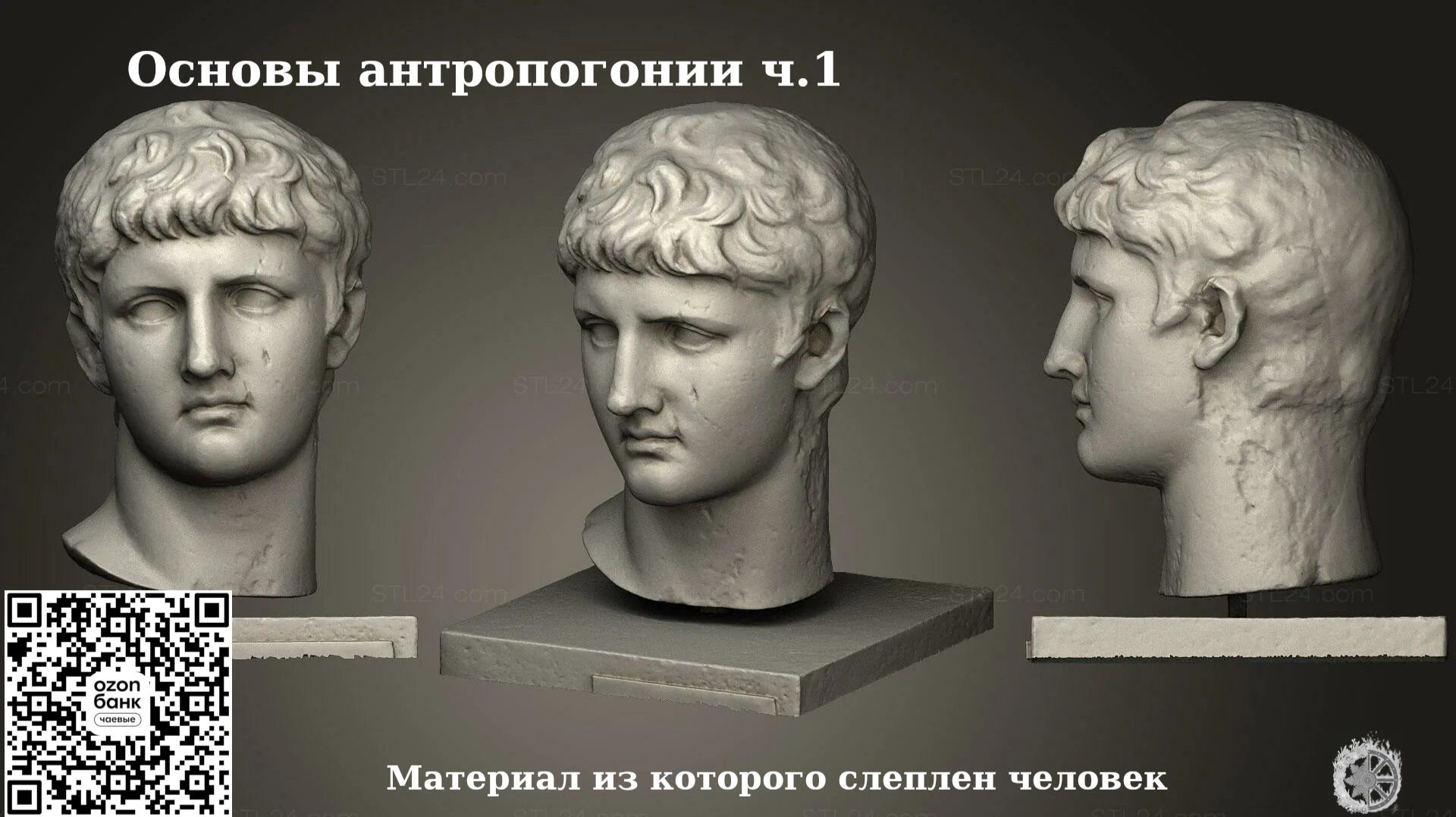 Основы антропогонии ч.1