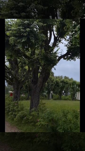 Государственный мемориальный историко-литературный и ландшафтный музей-заповедник А. С. Пушкина