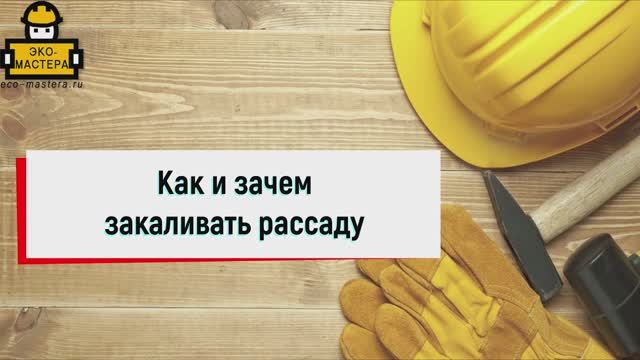 Как и зачем закаливать рассаду