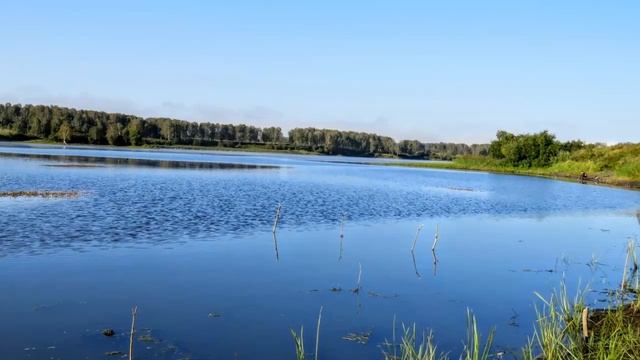 август 28, 2017 - Чесноковский пруд. ч 1