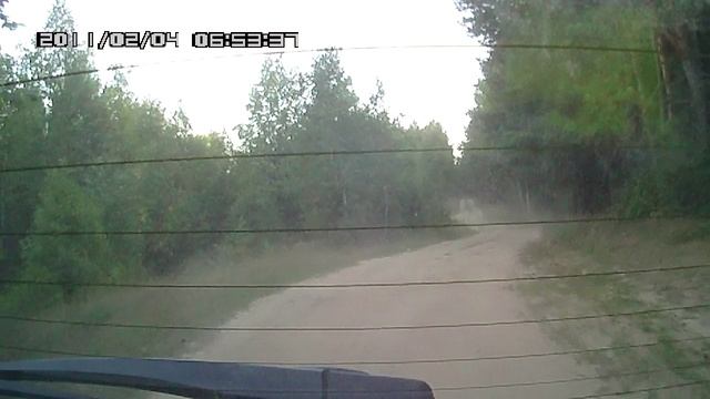 Лес Телеши с краю, песок