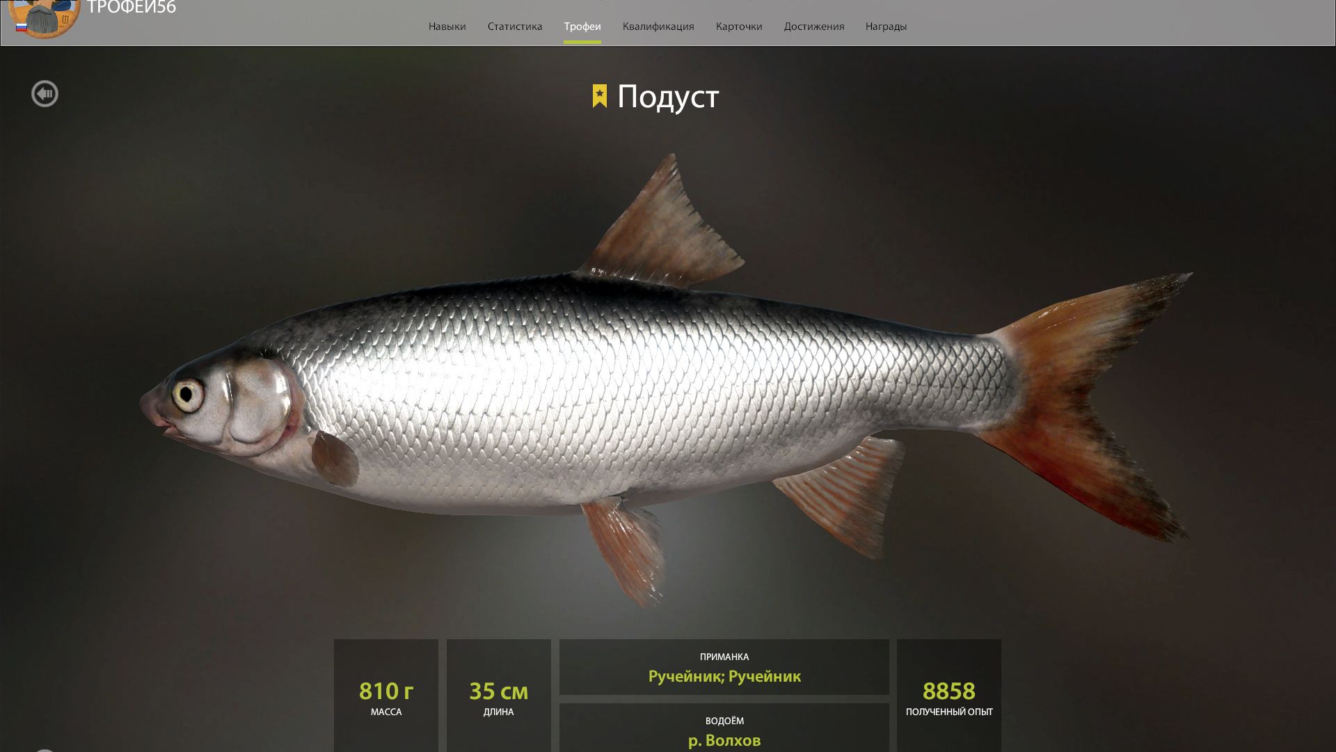 ПОДУСТ ТРОФЕЙНЫЙ ТОЧКА!!!ВОЛХОВ - РУССКАЯ РЫБАЛКА 4