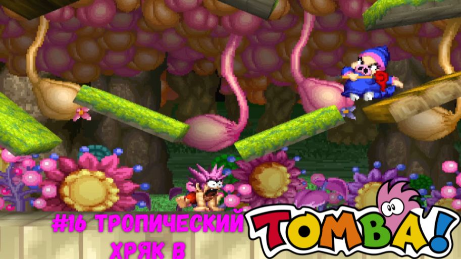 #16 Тропический хряк в Tomba!