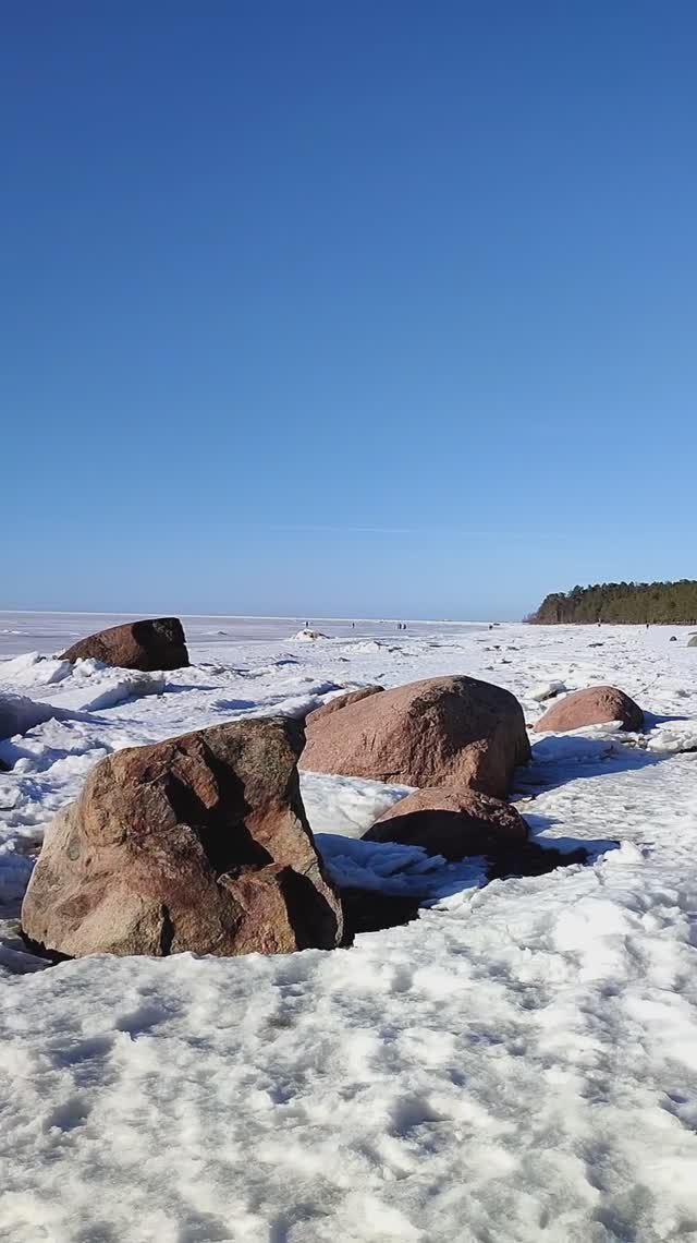 Финский залив