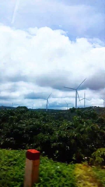 Как получают электроэнергию во Вьетнаме. Ветряная электростанция #vietnam #automobile #travel