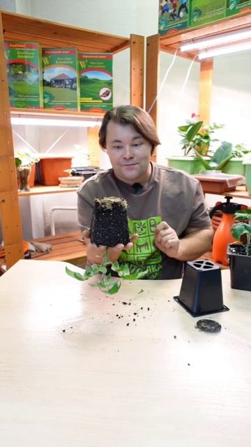 Помощники в зимнем огороде.