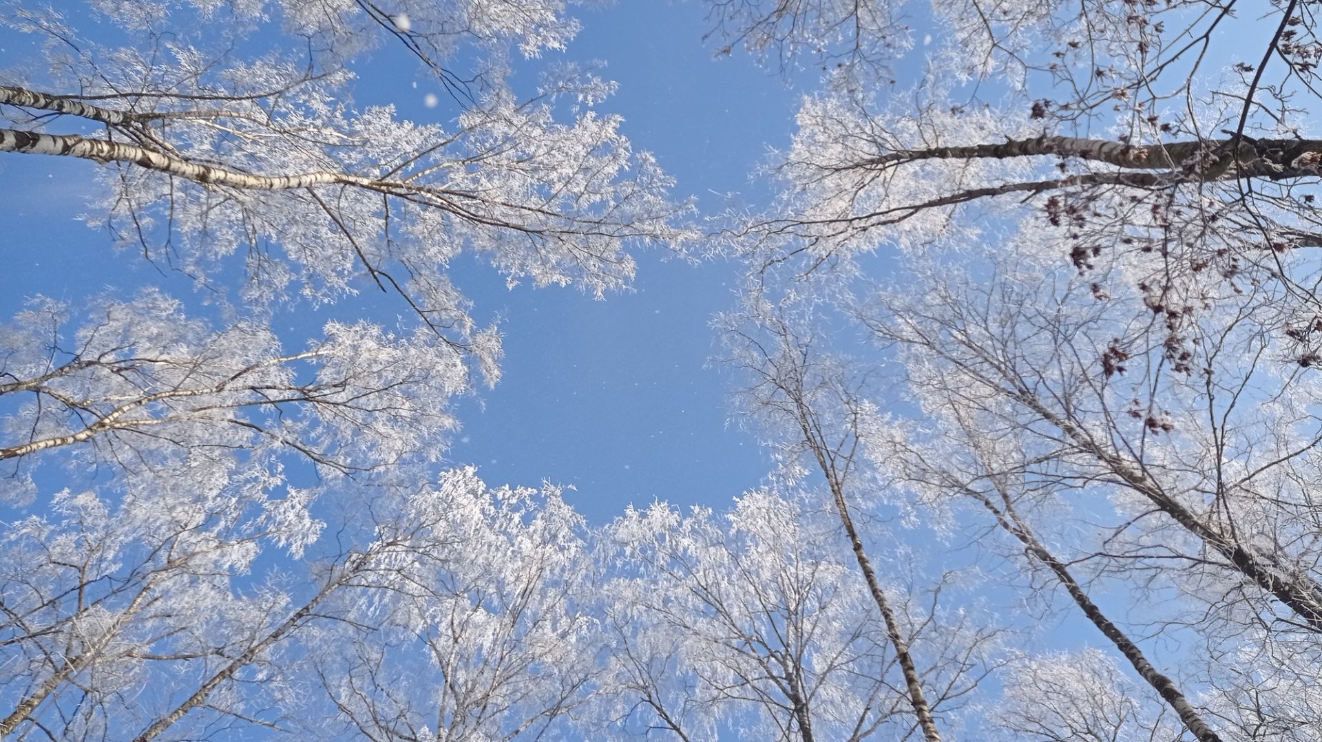 ЗИМНИЙ ПАРК