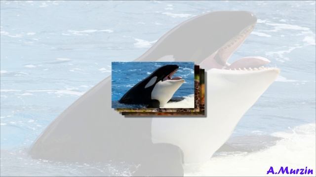 Ramio Lin - Мистический композитор