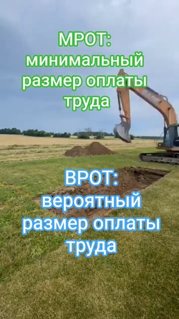 Оплата труда- ожидание и реальность) #мрот #оплататруда #вероятность #папатрехпринцесс #юмор #прикол