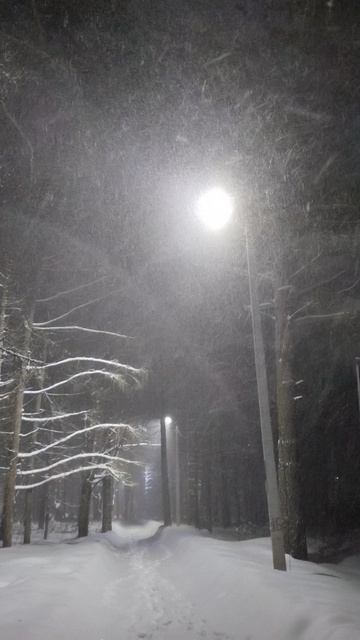 PXL_20260219_064030787