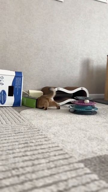 Точно в цель!