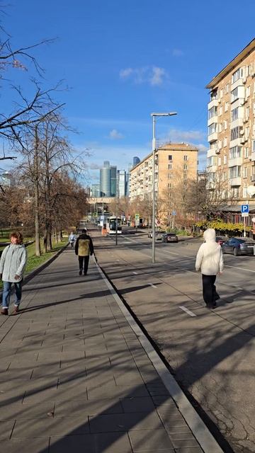 У Новодевичьего монастыря