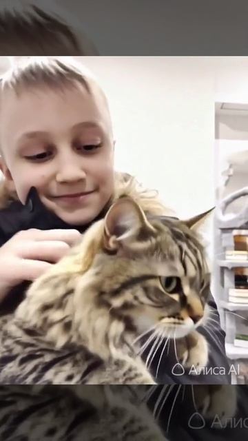 ИИ 1 сезон 1 серия "Кот"