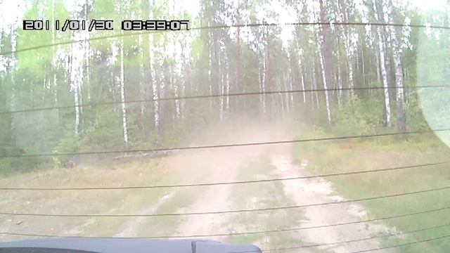 Лес у Трех Оленей  на регистратор сзади.