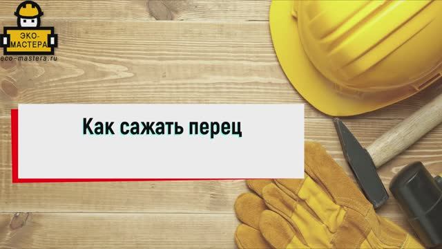 Как сажать перец