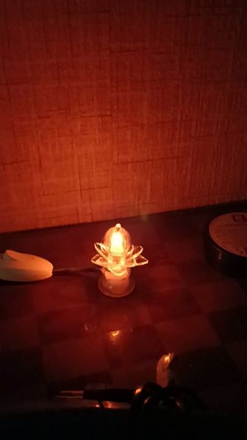 Сделал маленькую лампочку в виде цветочка