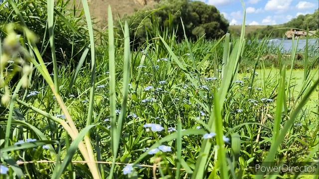 Тульская обл. Ишутинский утëс 16.07.24 г.