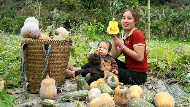 Мама поневоле. Дуонг. Собираю со своим ребенком урожай гигантской тыквы для продажи. Серия 56