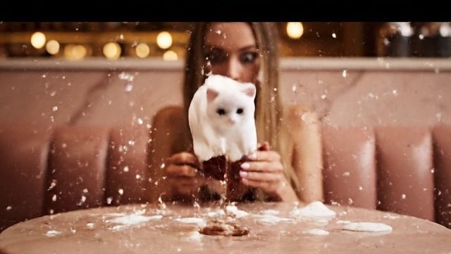 Ваш кофе готов (и он уже убежал)! ☕🐈