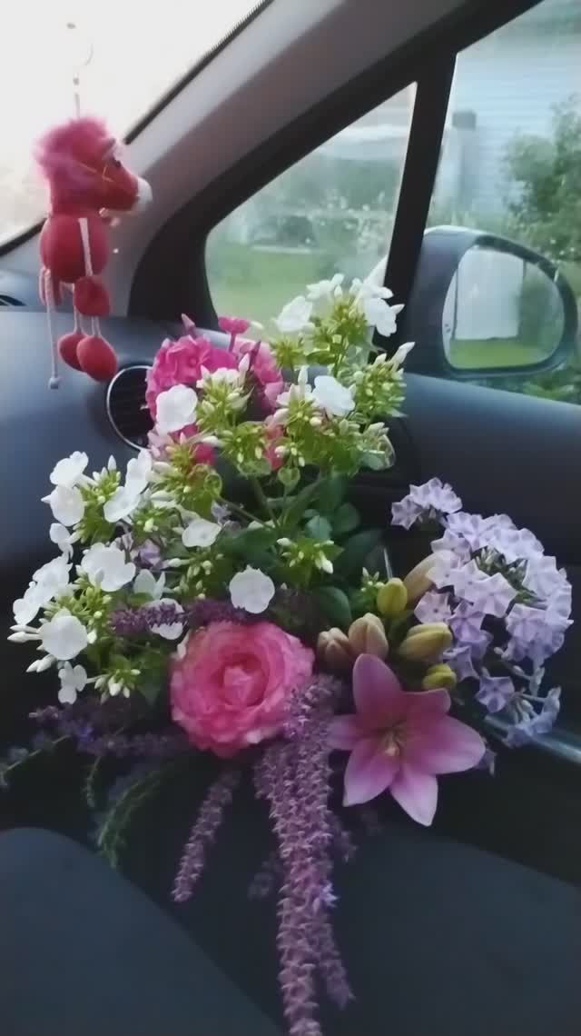 Везу букет с дачи домой. Мои любимые цветочки! #букетсдачи, #дачныецветы, #цветы, #цветынадаче