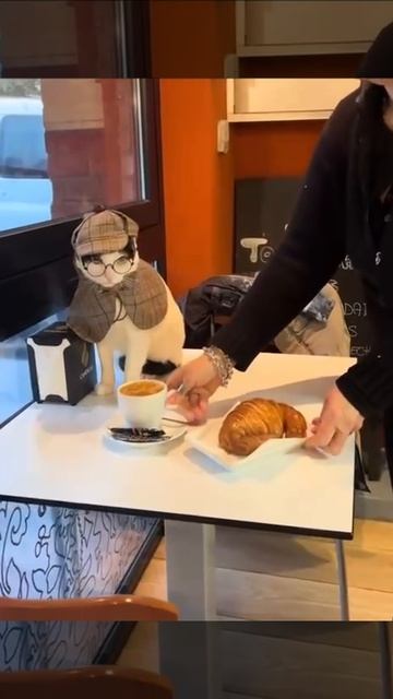 Ваш заказ, Шерлок