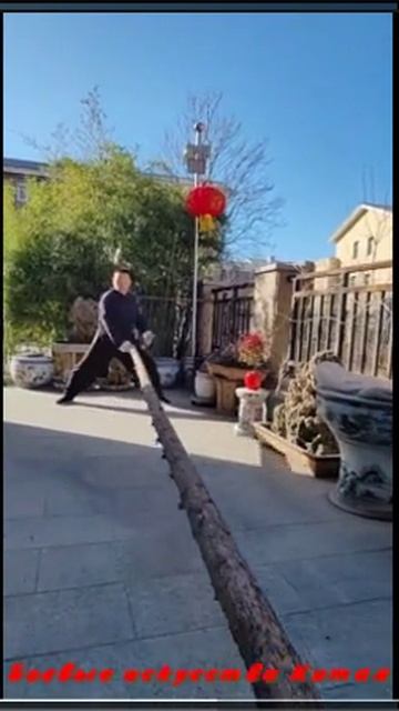 Упражнения с длинным бревном