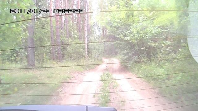 Лес Телеши на регистратр сзади.