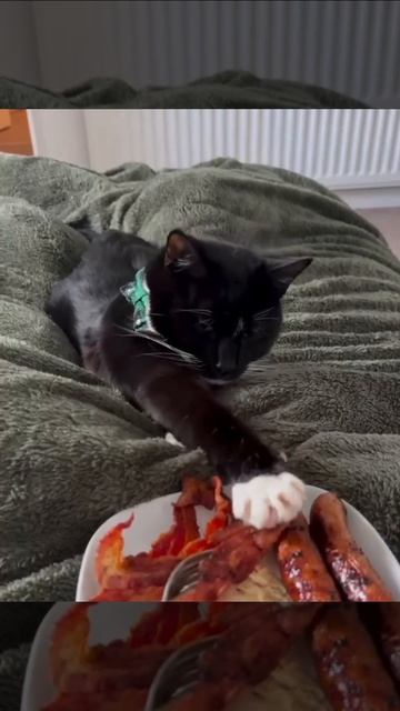 Я просто потрогаю