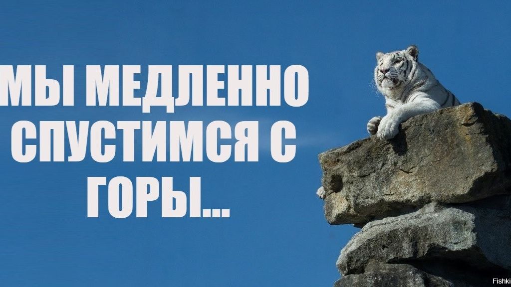 Медленно спущусь с горы и поимею всех