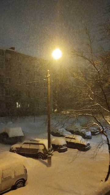 PXL_20260219_062415104