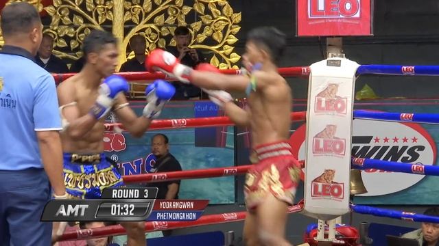 Savage Muay Thai & Kickboxing Head Kick Knockouts