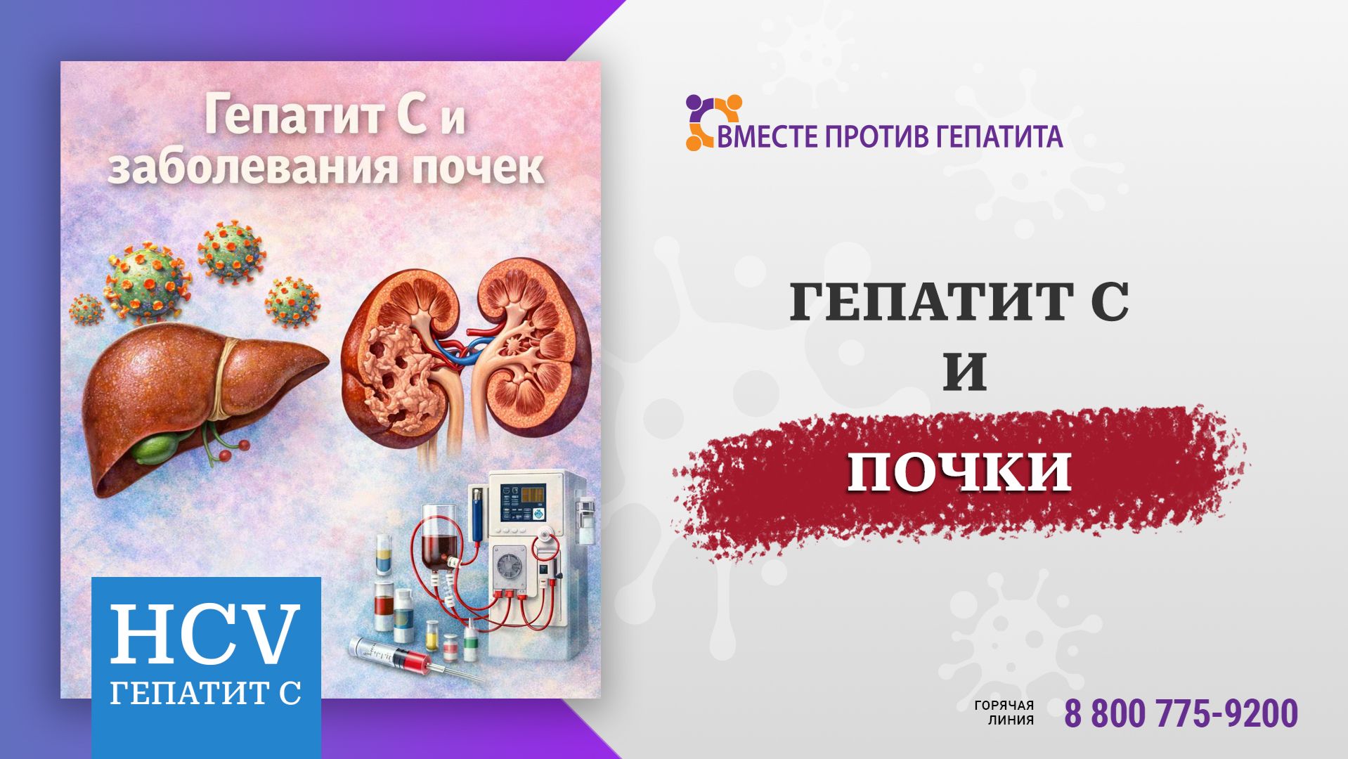 Гепатит С и почки