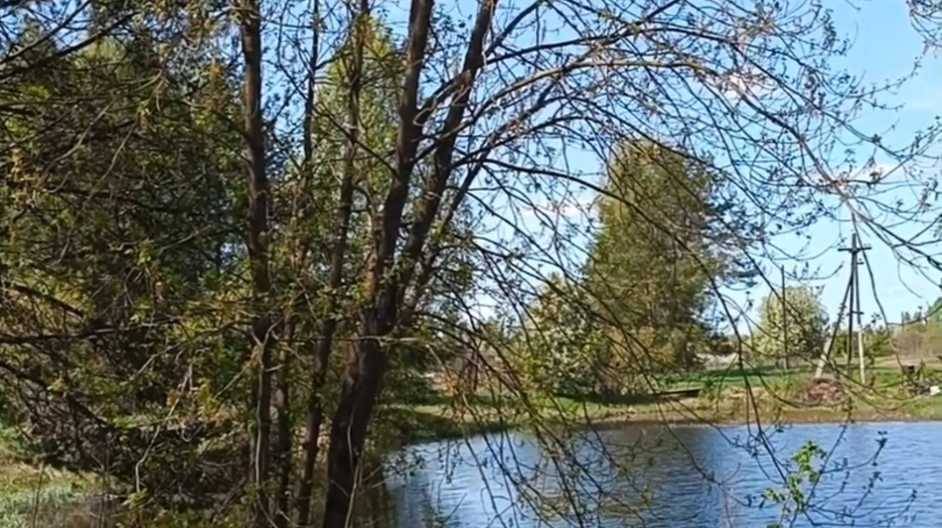 МАЙСКИЙ ПОГОЖИЙ ДЕНЁК