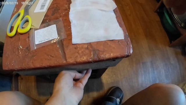 Получила семена голубой ели.