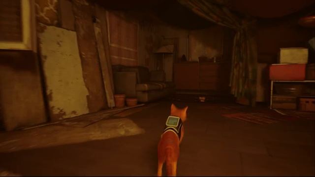 Stray (Прохождение) - Трущобы