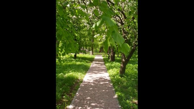 Поёт Хосе Каррерас : Сборник "Итальянские и Испанские песни"