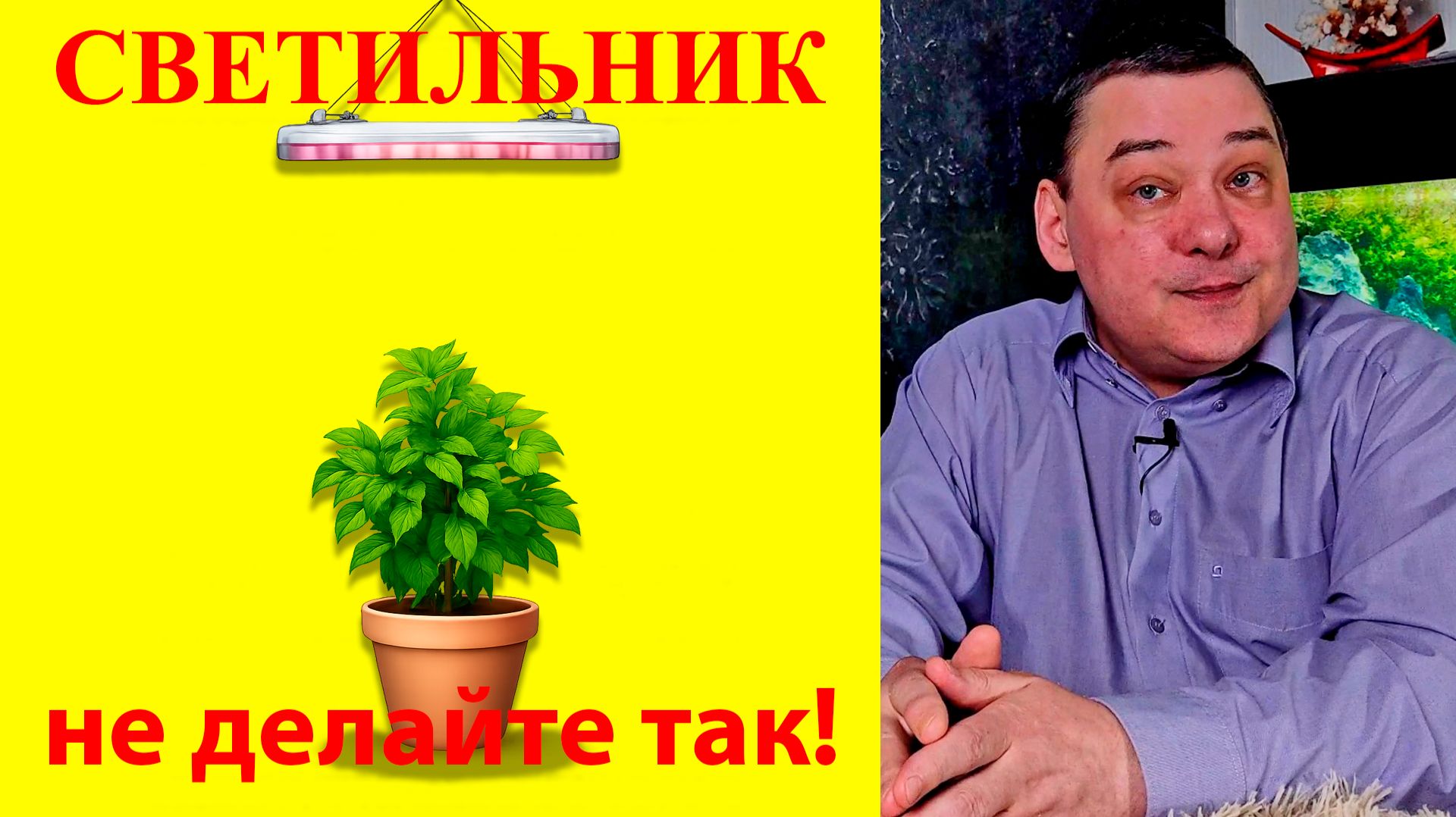 Ошибки при размещении светильника для растений