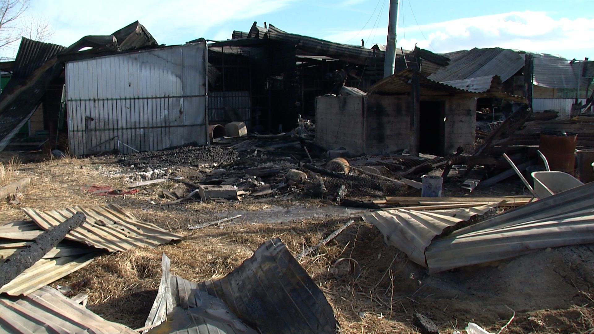"Каштанкиному дому" в Хакасии нужна помощь