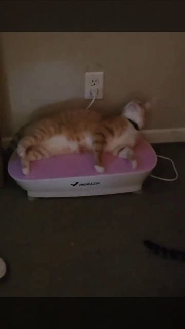 Массаж пузяки